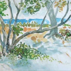 Anne DeCoster – Groveland Gallery